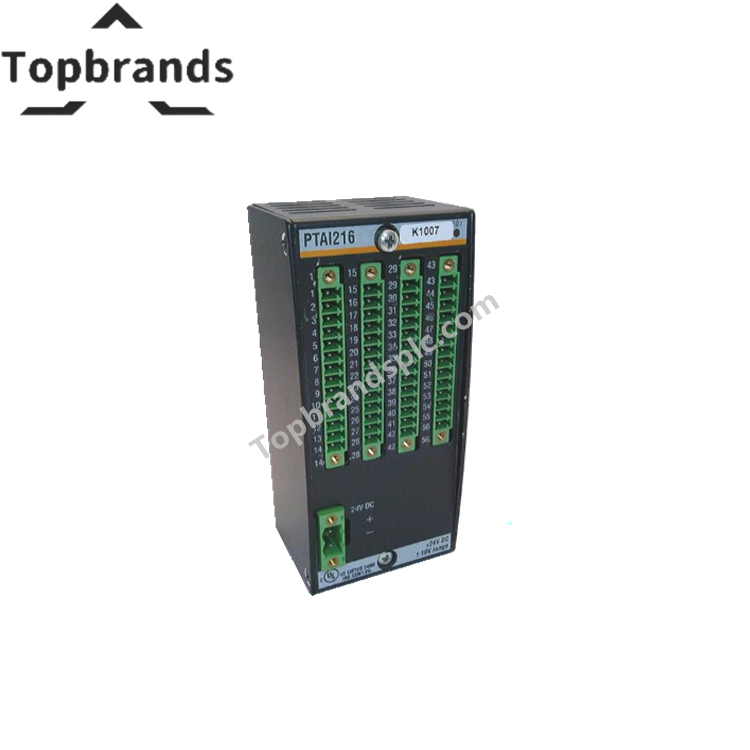 Bachmann PTAI216 Temperature Input Module - Topbrands PLC Limited