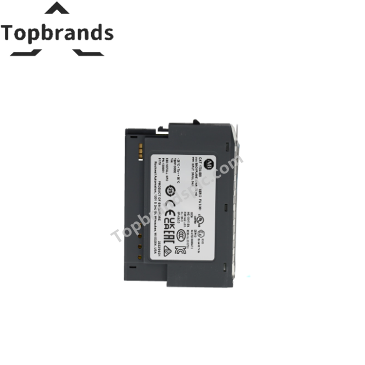 Allen Bradley 1734-IE2C Point I/O Analog Input Module - Topbrands PLC ...