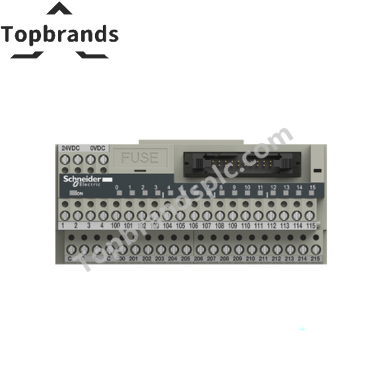 Schneider Electric ABE7CPA02 Analogue Channels - Topbrands PLC Limited