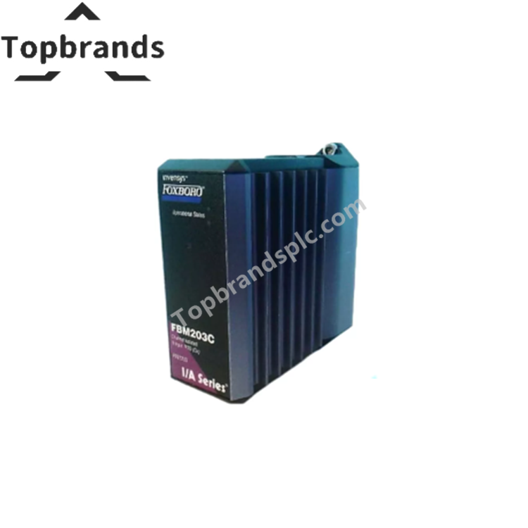 Foxboro FBM203C P0922UD โมดูลอินพุตแพลตตินัม/นิกเกิล RTD - Topbrands ...