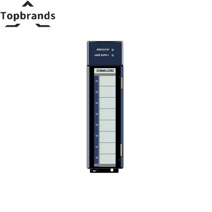 GE Fanuc RX3i PACSystem IC694ALG223 Analog Input Module - Topbrands PLC ...