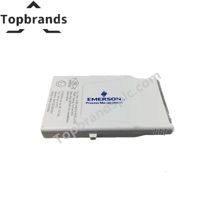 โมดูล CHARM อินพุต RTD/ความต้านทาน Emerson KL3031X1-BA1 - Topbrands PLC ...