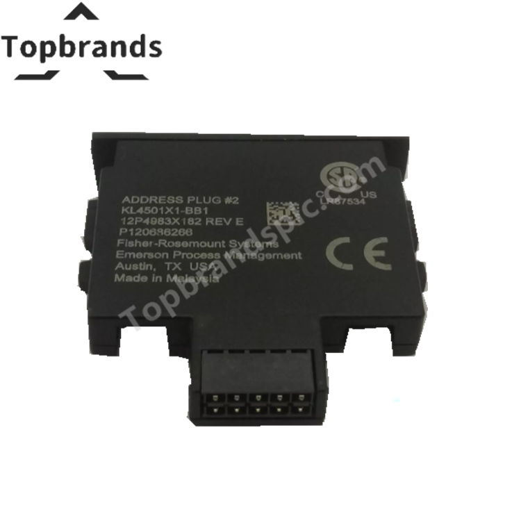 ปลั๊กที่อยู่ Emerson DeltaV KL4501X1-BB1 CHARM - Topbrands PLC Limited